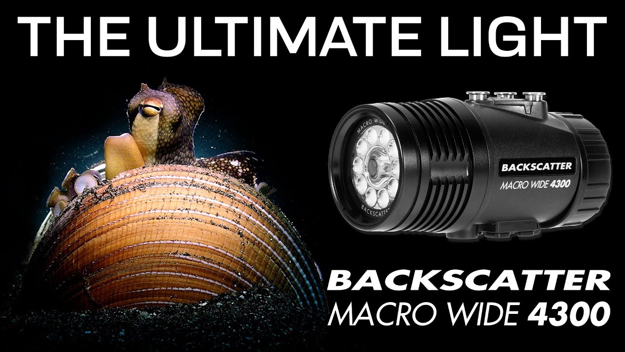 The Ultimate Dive, Photo, and Video Light: Backscatter Macro Wide 4300 ...