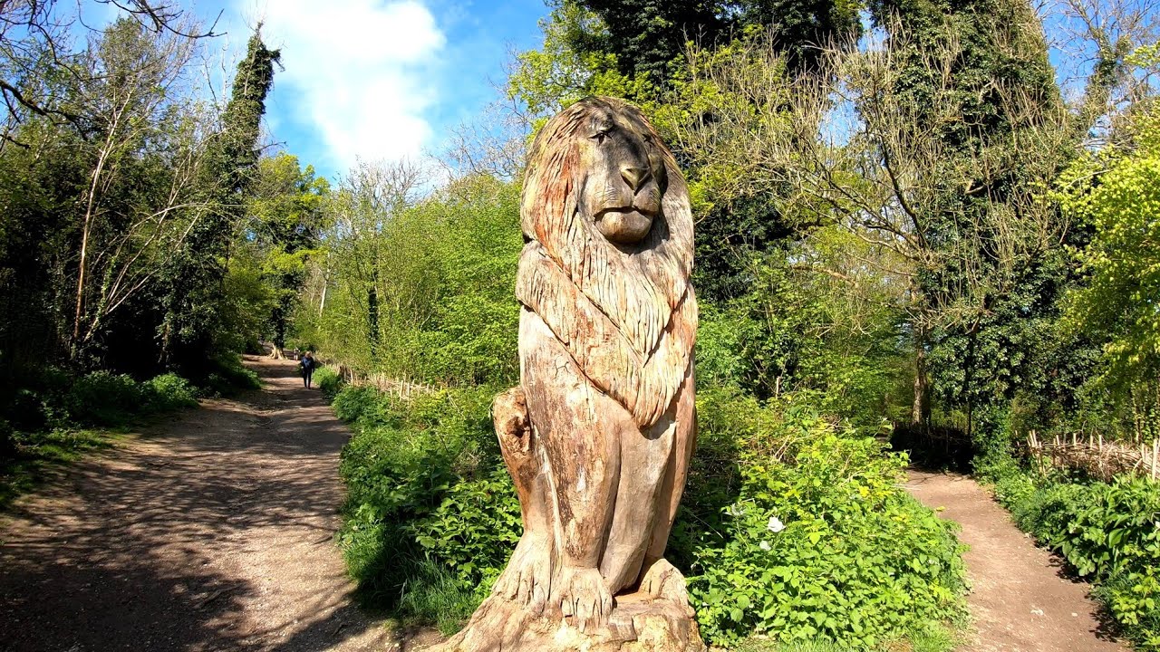 Banstead Woods parkrun, Event #815, 4th May 2024 - YouTube