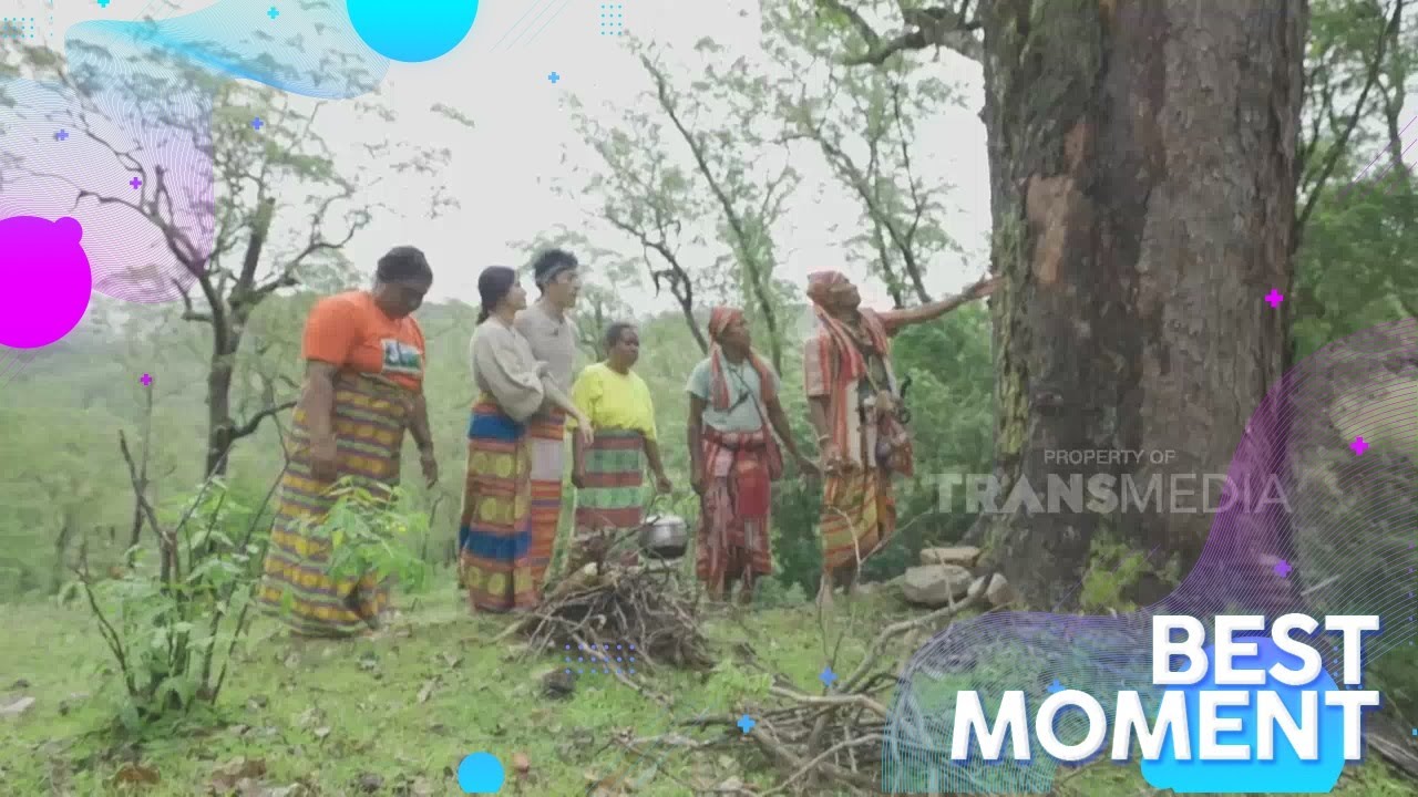 Hutan Ampupu Di Desa Fatumnasi Indah Sekali Pemandangannya | Best ...