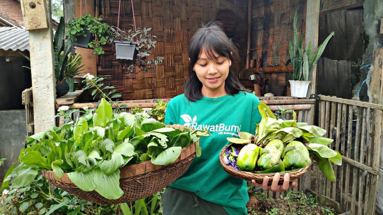 Panen semua sayuran, berkebun rame-rame tanam bunga kol. masak hidangan ...