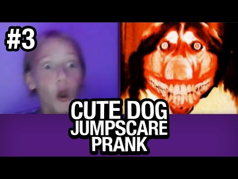 Cute Dog JUMPSCARE PRANK on Omegle #3!