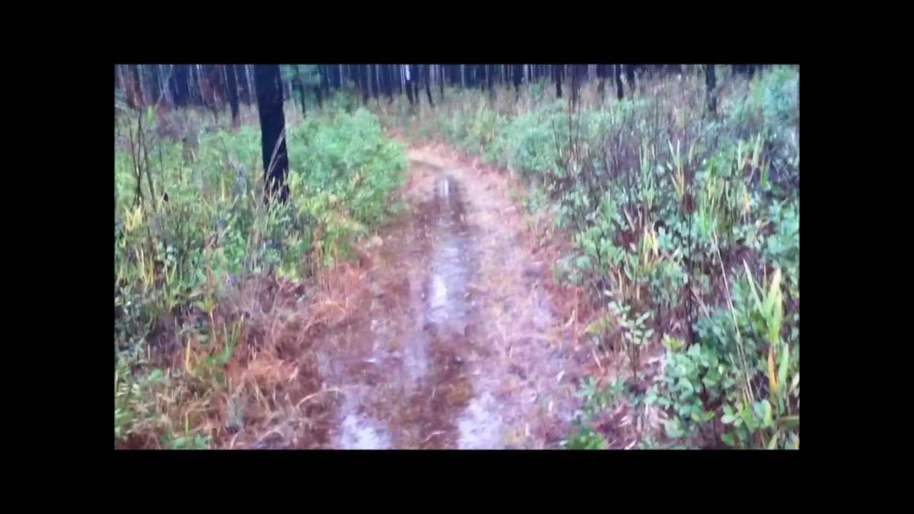 The Palmetto Trail - Swamp Fox Passage (Part 4) - YouTube
