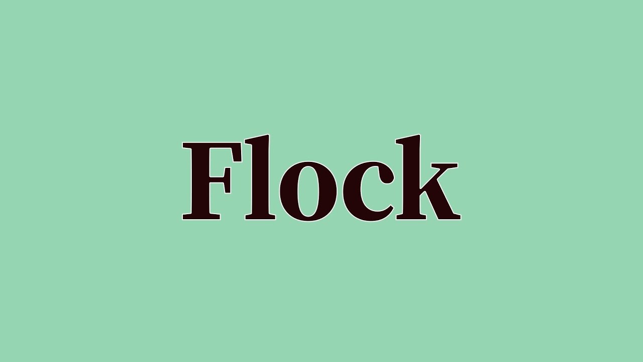 Flock Pronunciation and Meaning - YouTube