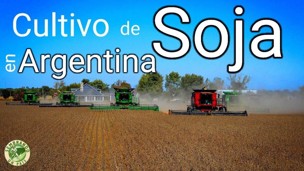 El Cultivo de Soja en Argentina - YouTube