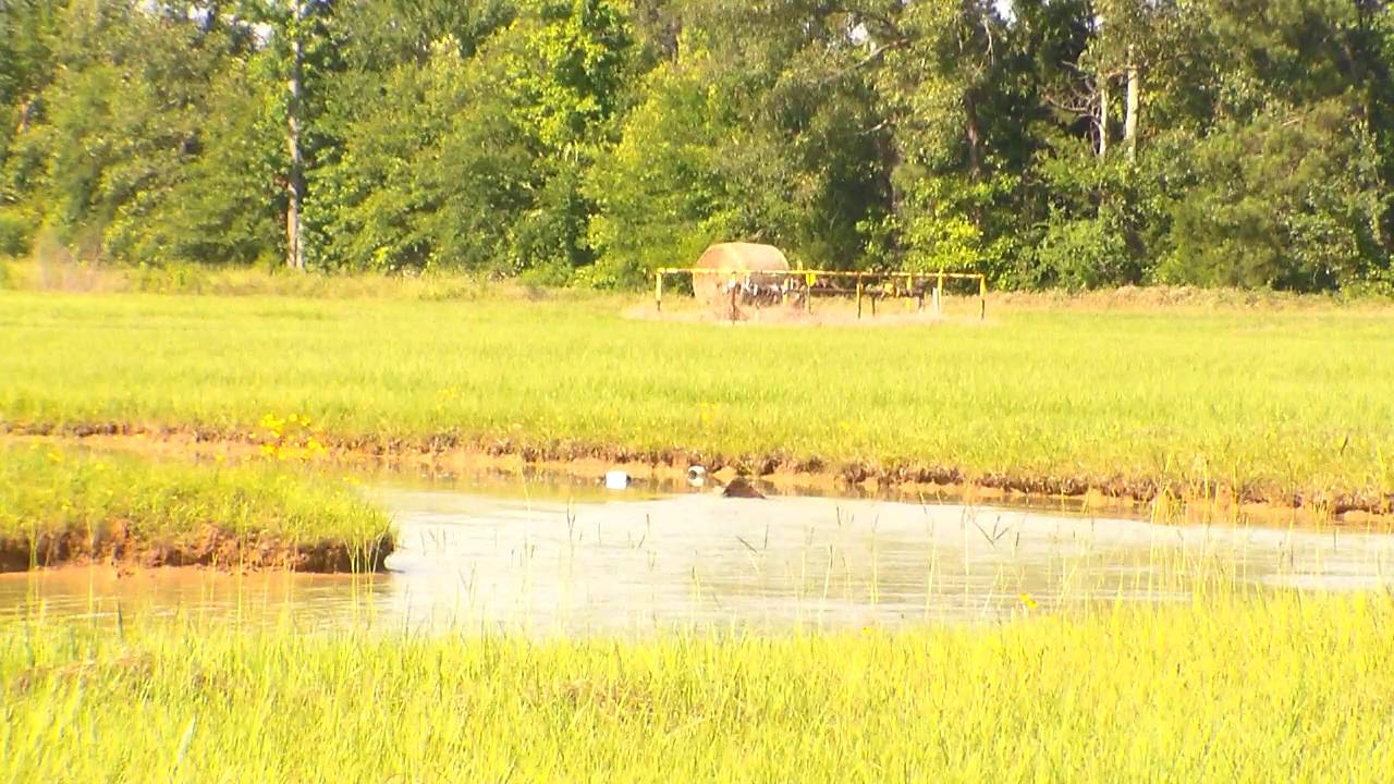 Drake Water Single 6-19-2016 - YouTube