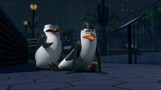 Driving Penguins Of Madagascar Rico