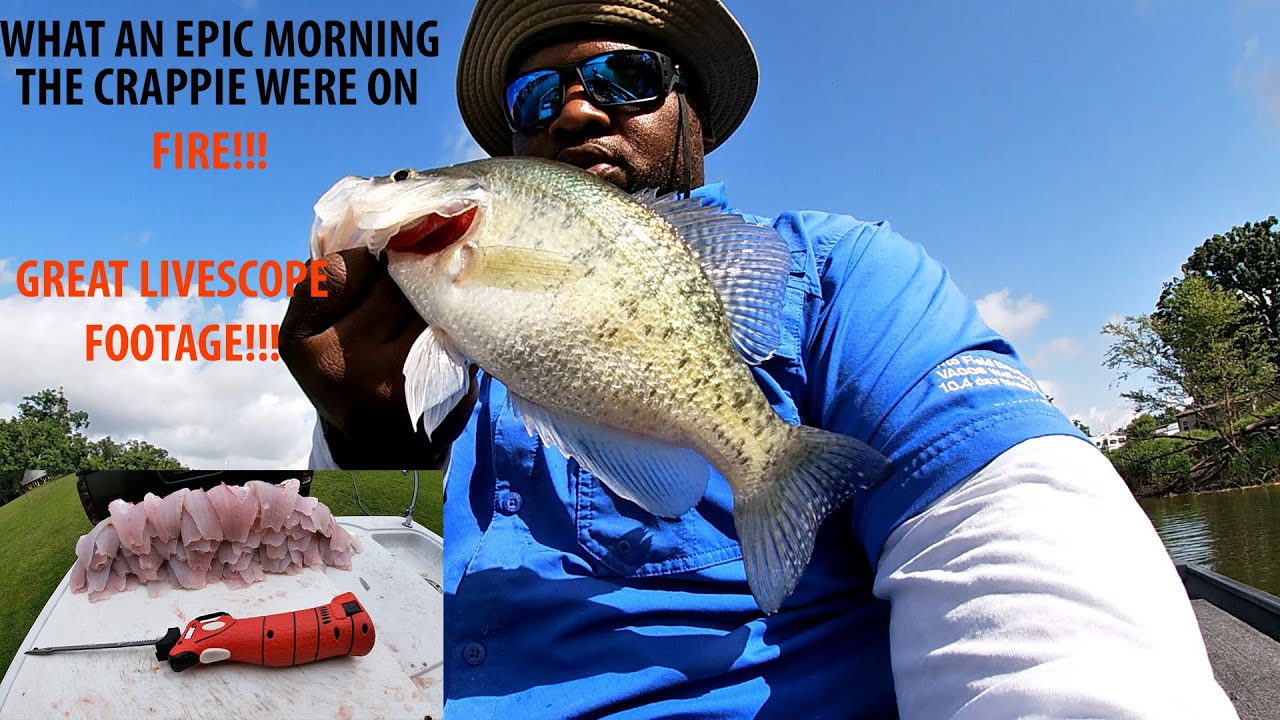 THE MONSTER CRAPPIE THAT LIVES IN TREE TOPS ARE INSANE!!!! - YouTube