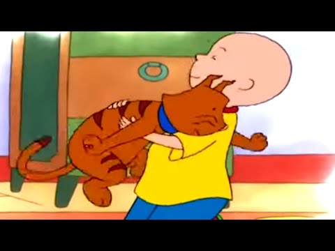 Uusi Kissa | Kaapo Suomeksi