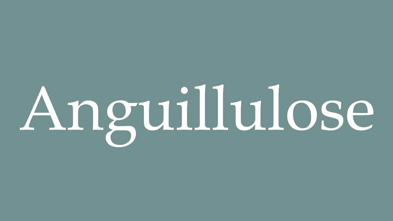 How to Pronounce ''Anguillulose'' (Anguillose) Correctly in French ...