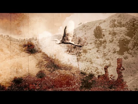 Wati Watia Zorey Band - Evariste Siyèd'Ion (Official Video)