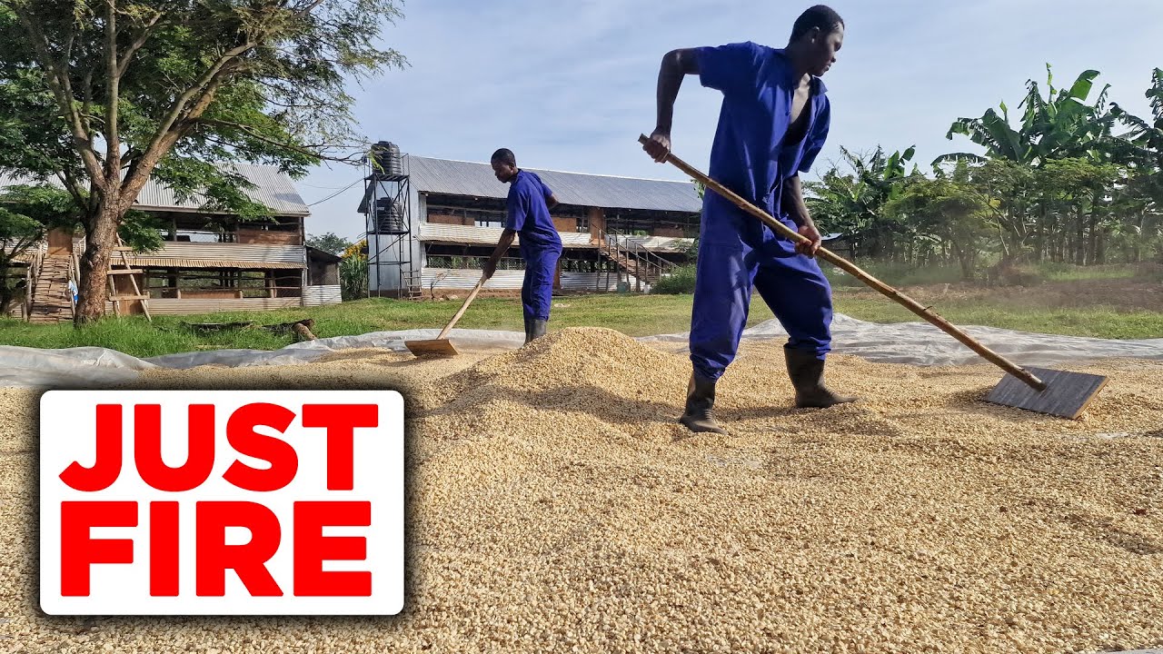 How to Keep Away USELESS workers from your farm - YouTube