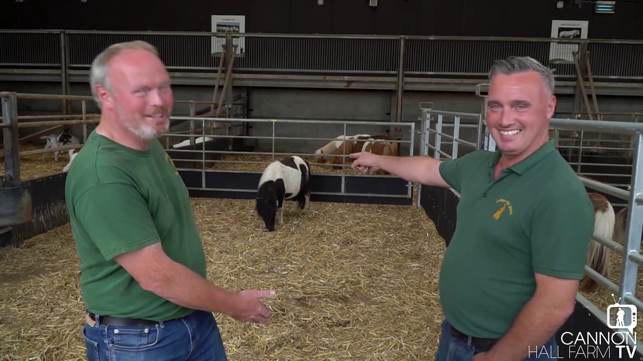 Introducing Pony Hadley - Cannon Hall Farm - YouTube