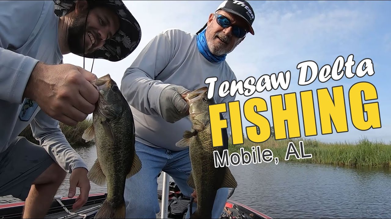 Fishing Mobile Tensaw Delta - Speed Worm Bass Whackfest - 7/11/2020 ...