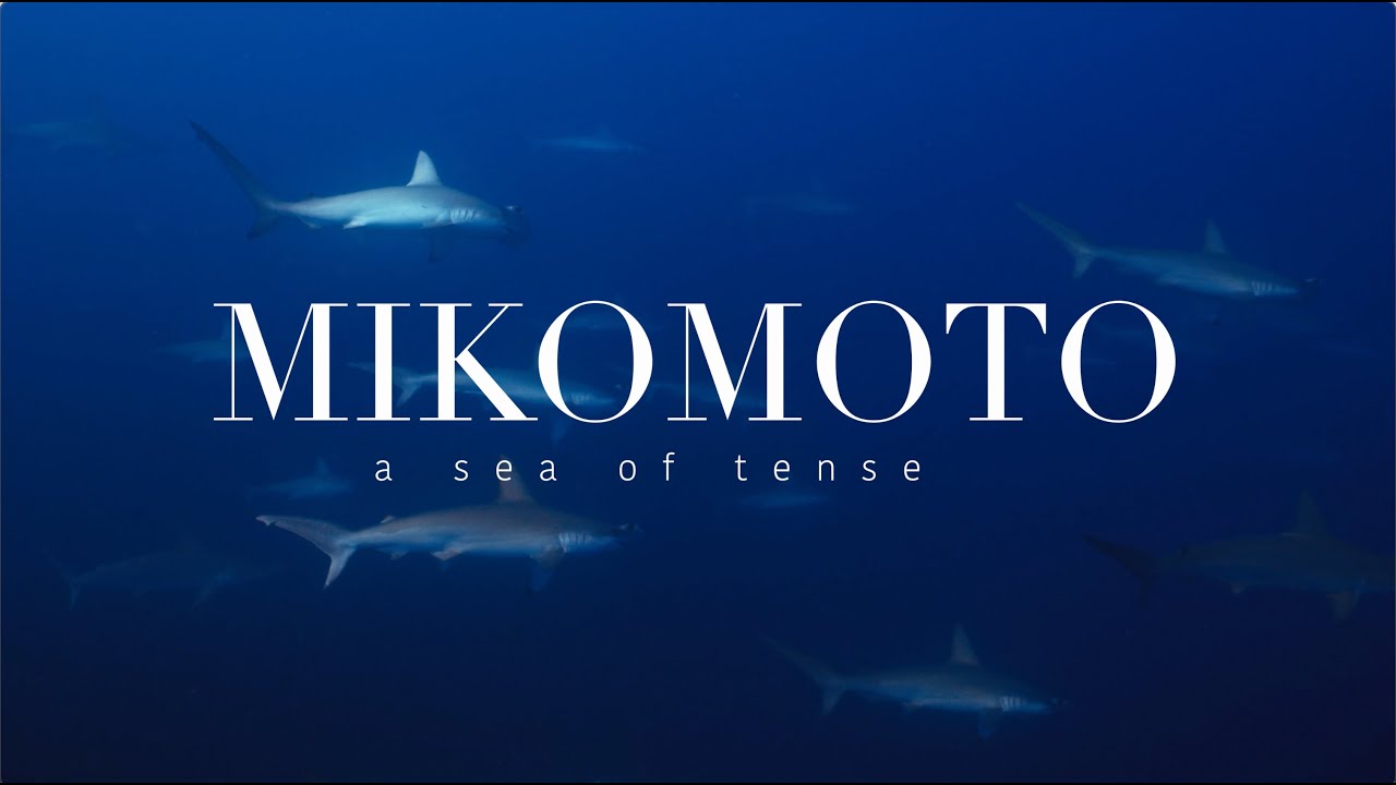 Mikomoto | A sea of tense (Mikomoto Hammers Documentary) - YouTube