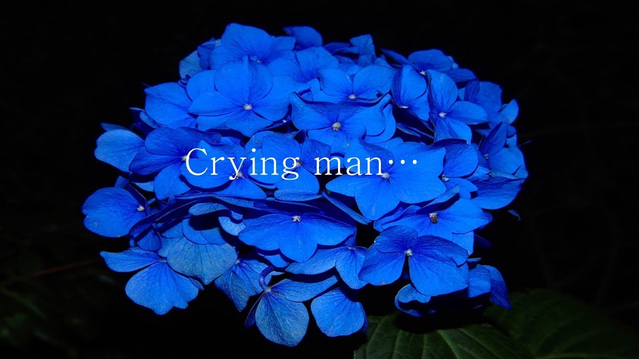 [ENG SUB] 우는 남자_강혁ver.｜Crying man..｜남자 ASMR｜Voice Drama｜남친롤플 ...