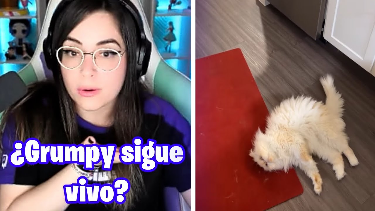RenRize le pregunta a Zein si Grumpy sigue vivo ll Zein sube historia con grumpy - YouTube