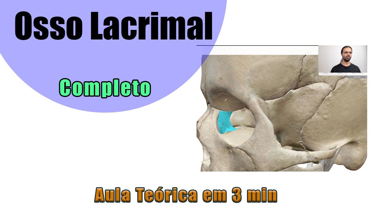 Osso Lacrimal - Teórica Aula 1 - Anatomia - Anatomia Humana - YouTube