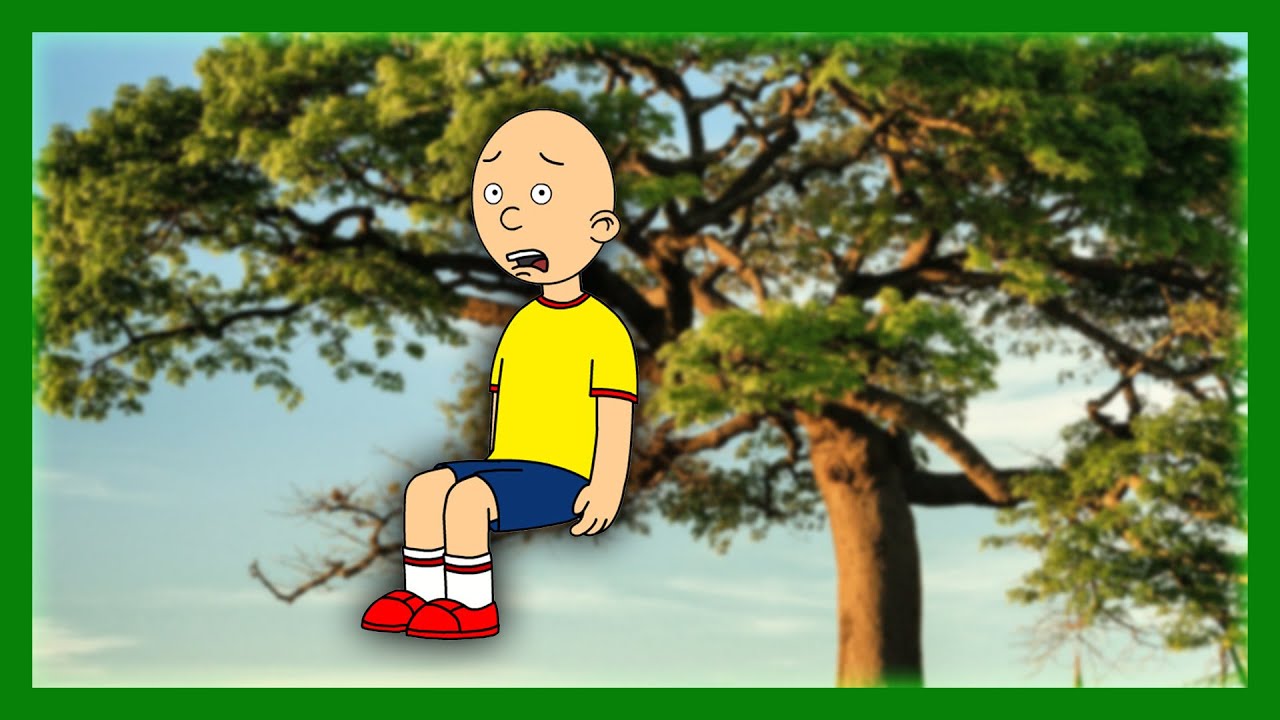 Caillou Gets Stuck In A Tree - YouTube