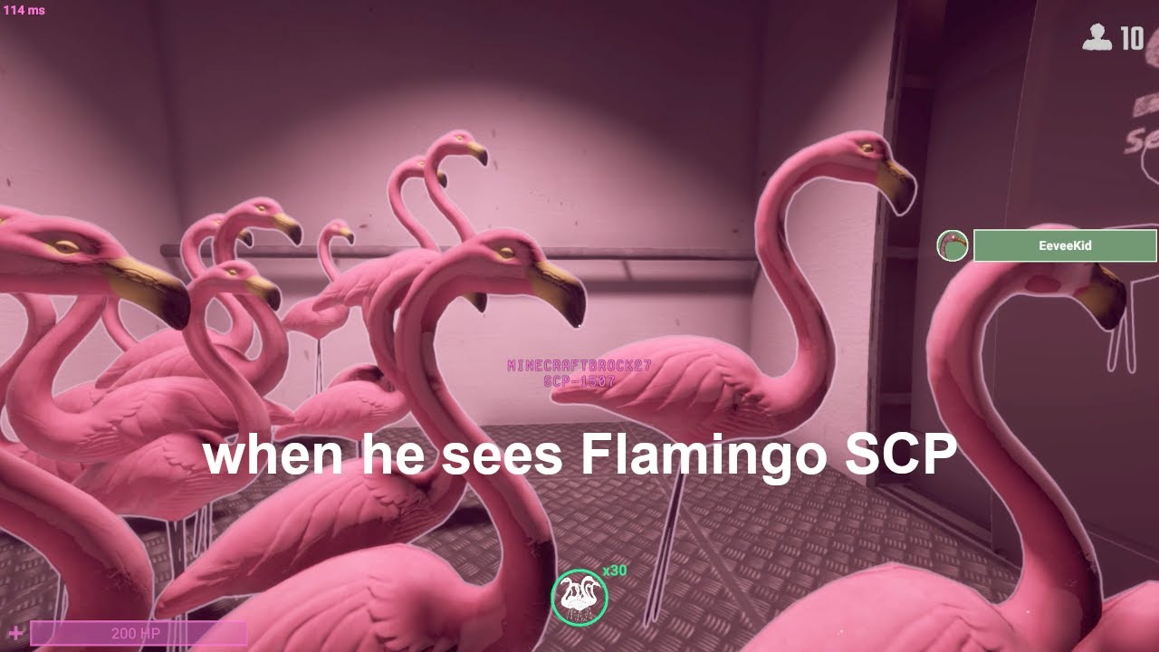 When He Sees Flamingo SCP - YouTube