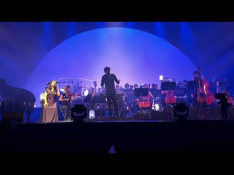 Déchirer la toile - Clair Obscur: Expedition 33, Live Concert A Painted Symphony Toulouse