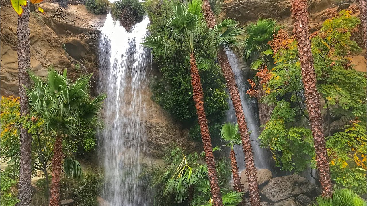 Orange County's Biggest Waterfall - Hidden Urban Oasis in Dana Point ...