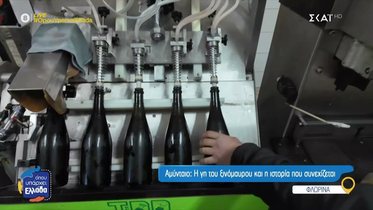 Από την Ολλανδία στο Αμύνταιο, ένα ταξίδι κρασιού και παράδοσης | Όπου ...