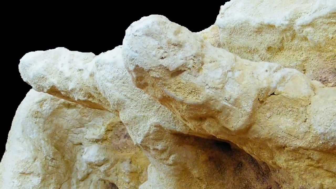 Pareti in finta roccia artificiale per terrari di gechi serpenti draghi ...