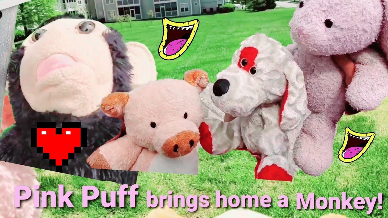 Pink Puff brings home a MONKEY!!! - YouTube