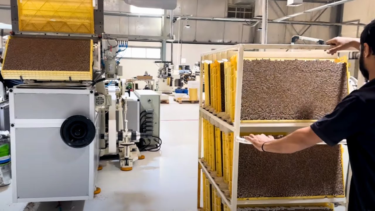 How Cigarettes are Made from Tobacco To Cigarette Pack - YouTube