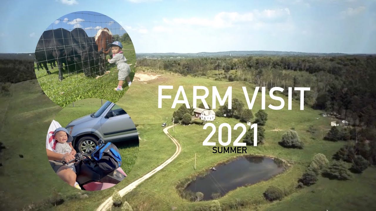 Visiting UNCLE MIRKO's farm with friends | Bella's first time feeding ...