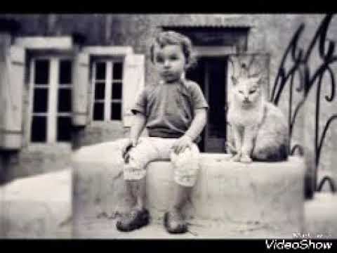 Music -Dolya varoskaya (Music evi offical)2018