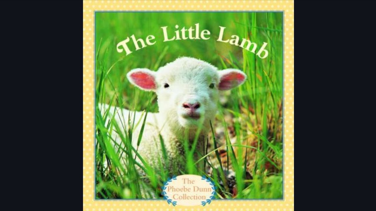 The Little Lamb By Judy Dunn Photographs By Phoebe Dunn - YouTube