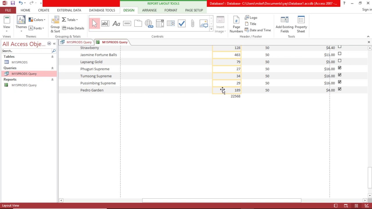 IT MS Access 28 Displaying the Sum of All Values in A Field in A Report ...