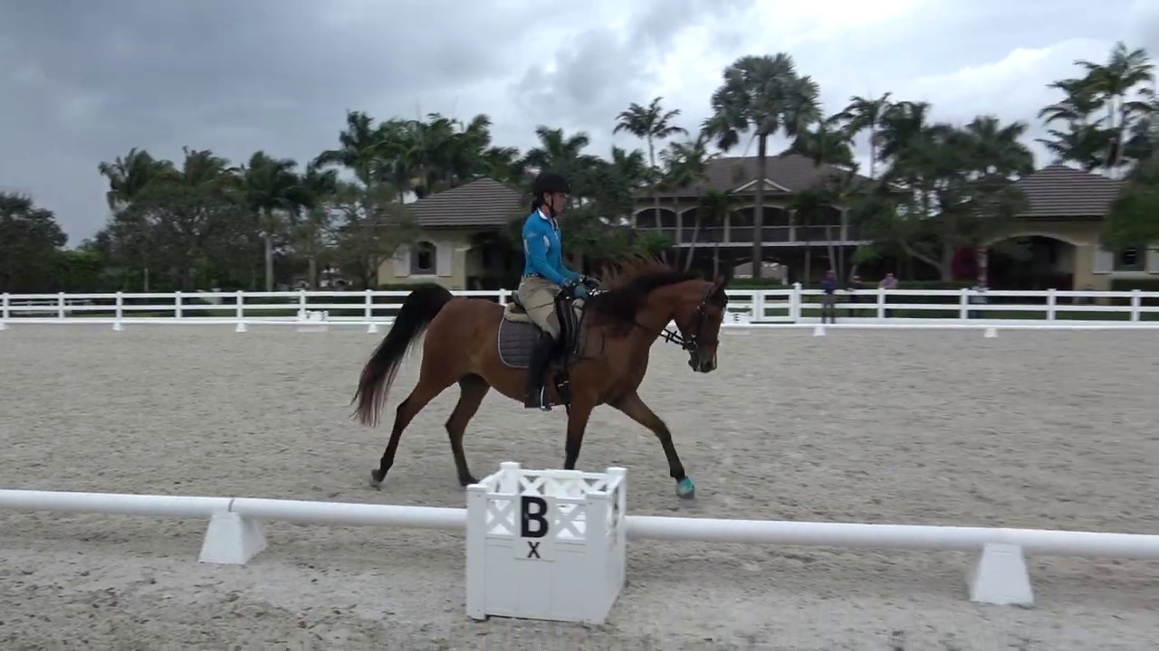 2019 02 26 lessons with Ali Kat - YouTube