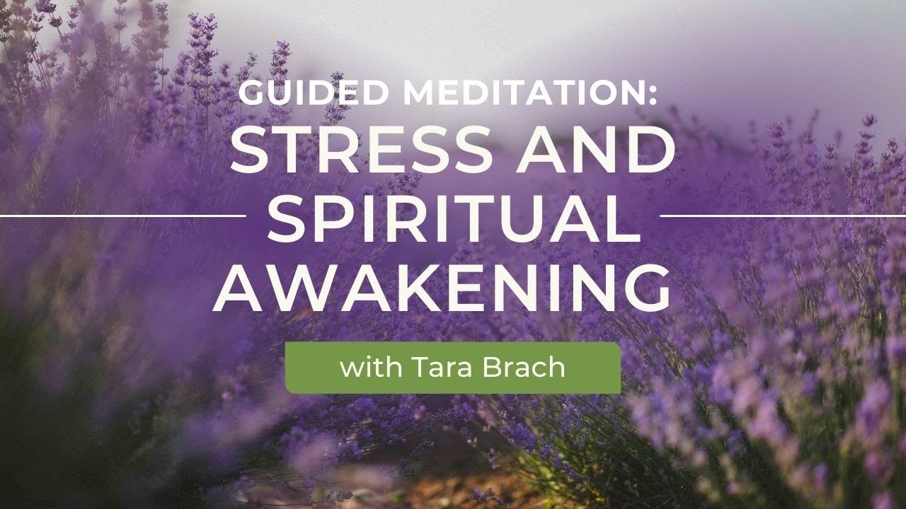 Guided Meditation: Stress and Spiritual Awakening with Tara Brach - YouTube