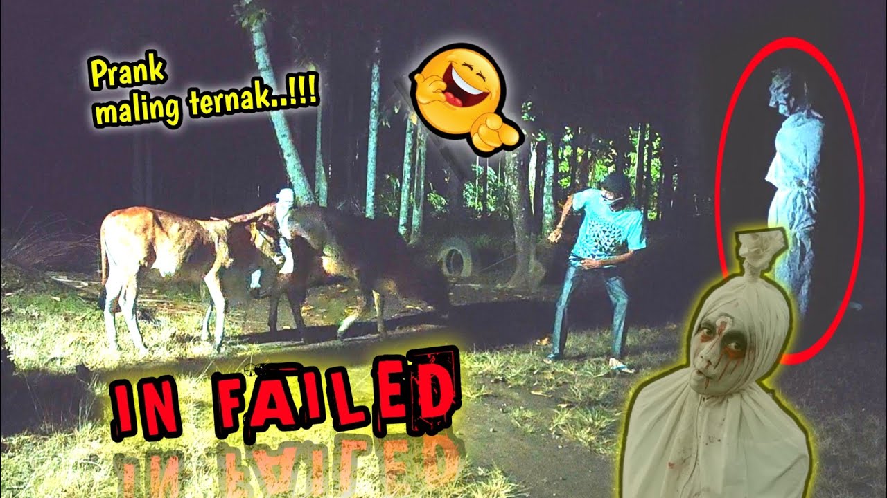 PRANK POCONG LUCU // POCONG VS MALING // PRANK HORROR LUCU - YouTube