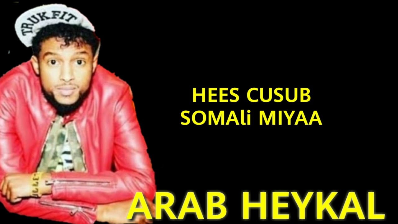 Guled Simba hees cusub Somali miya2020 - YouTube