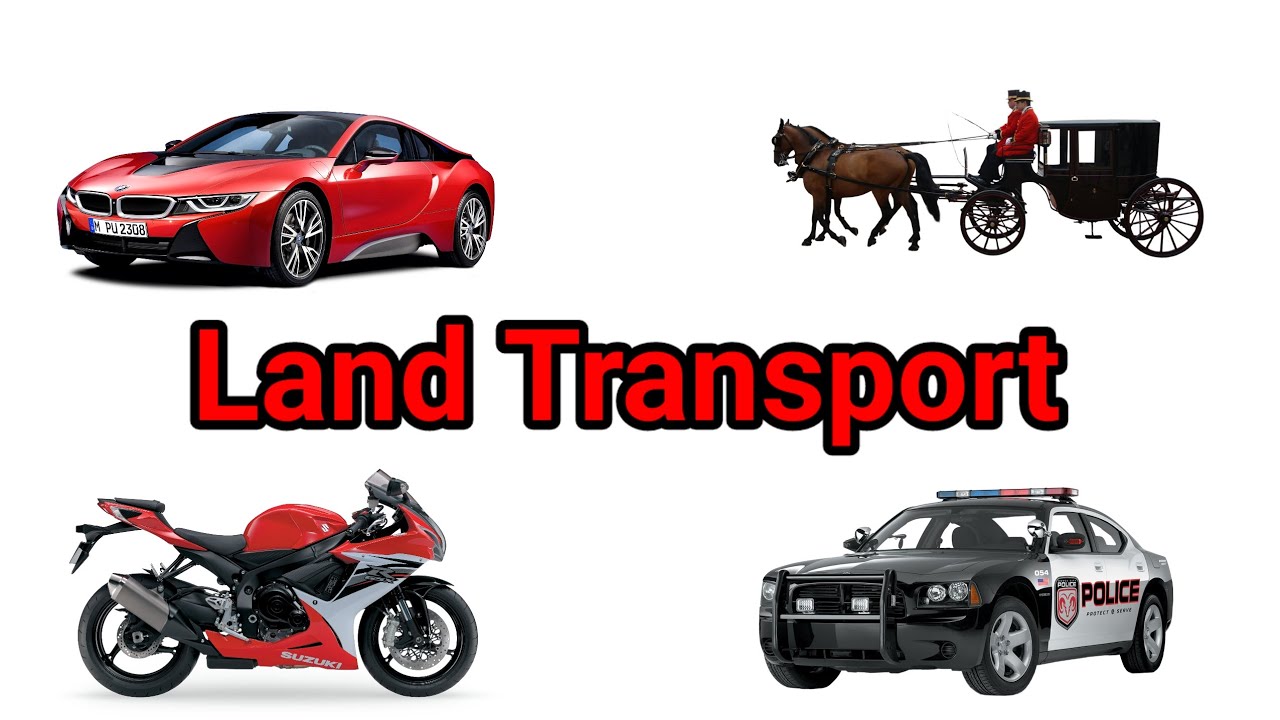Land Transport Vehicles for kids | Land Transport for toddlers - YouTube