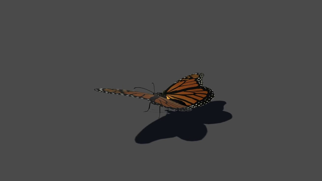 Monarch butterfly Unity - YouTube