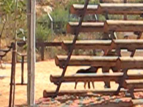 IDF Oketz K-9 Obstacle - YouTube