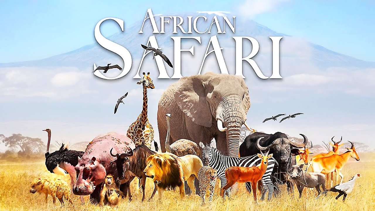 African Safari | Film Complet en Français | Documentaire Animalier ...