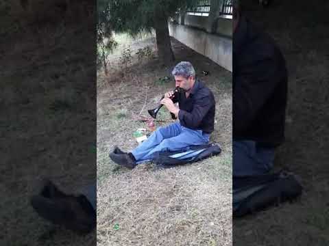 Dilaver karaca(1)