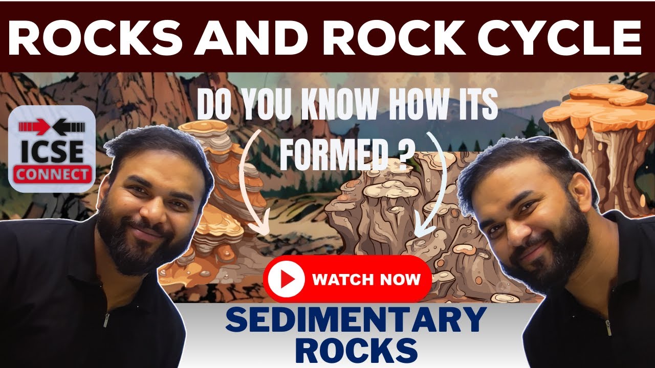 Rocks and Rock Cycle | Sedimentary Rocks | Type of Rocks | Class 9 ICSE ...