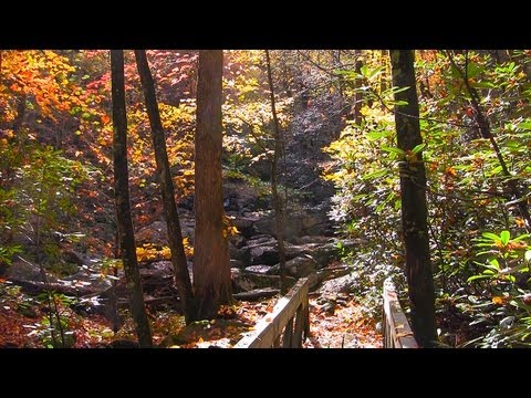Beautiful Blue Ridge Fall Foliage - Part 1 - South Mountains State Park ...