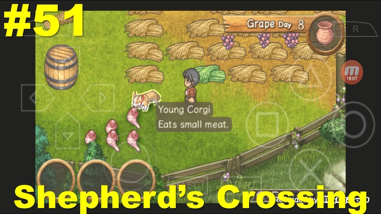Shepherd's Crossing PSP Gameplay #51 Raccoon, Corgi - YouTube