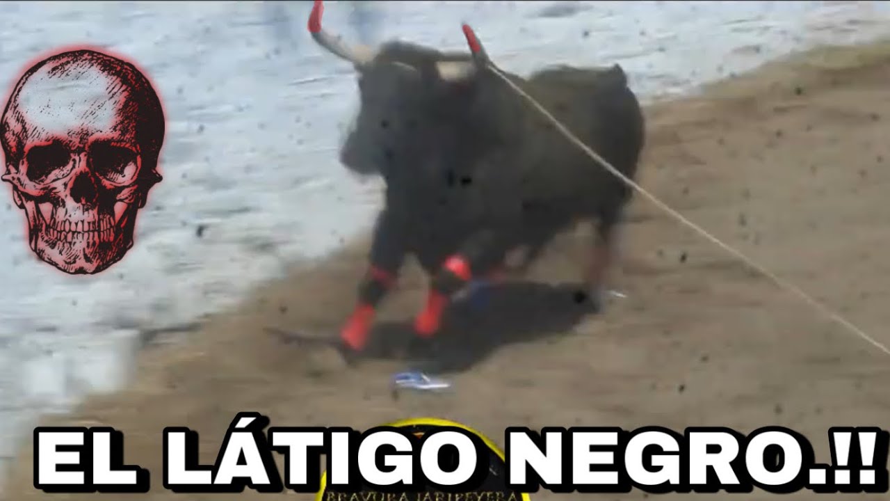 EL PODEROSO LÁTIGO NEGRO JUGANDO CON TODO EN EL RANCHITO DEL SALVADOR ...