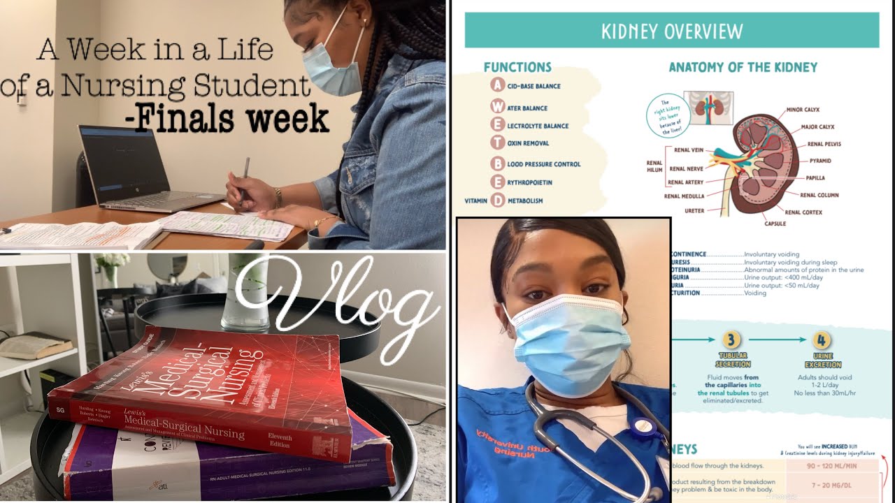 A Week in a Life of a BSN Nursing Student| Single Mom Edition| Final ...