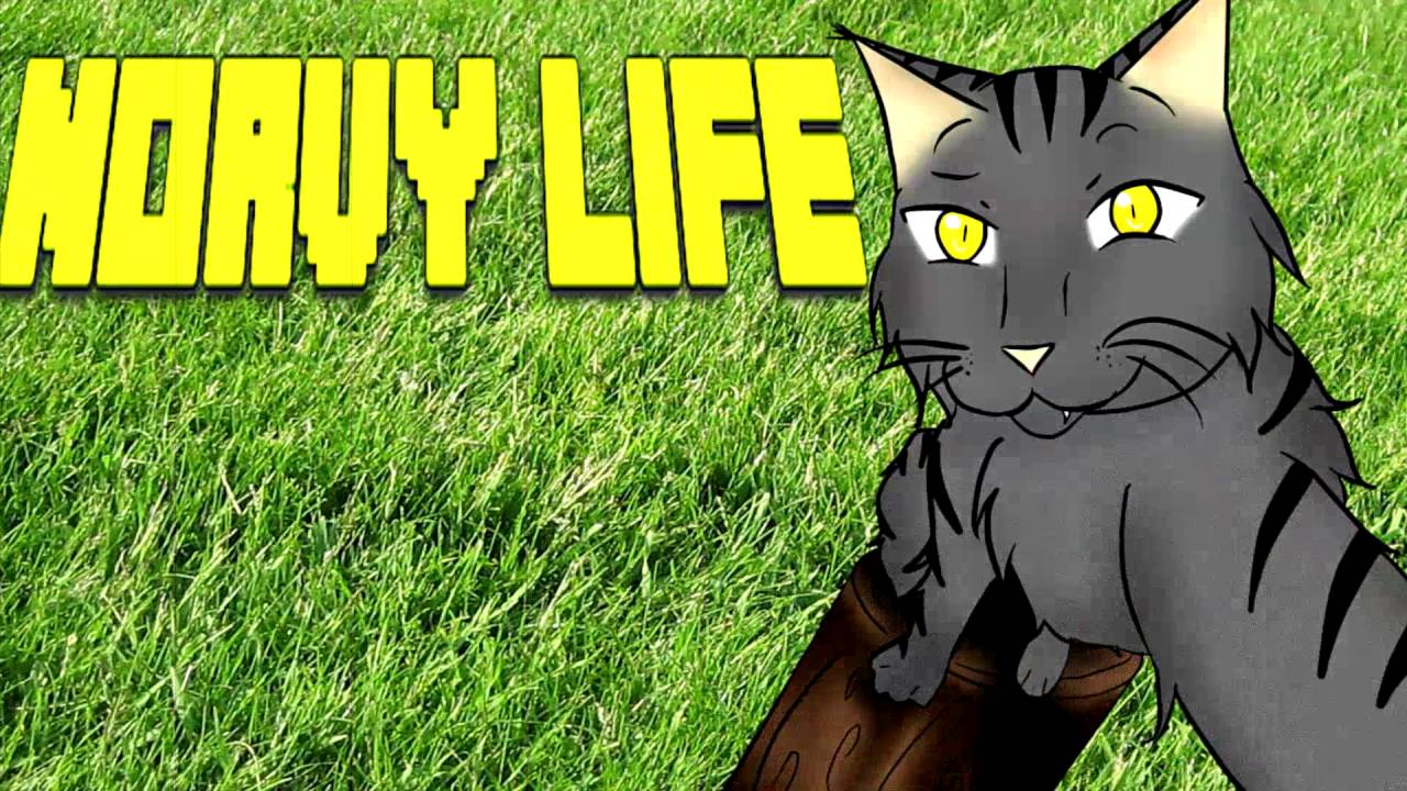 『Norvy life』 ~ norvy fa i selfie - YouTube