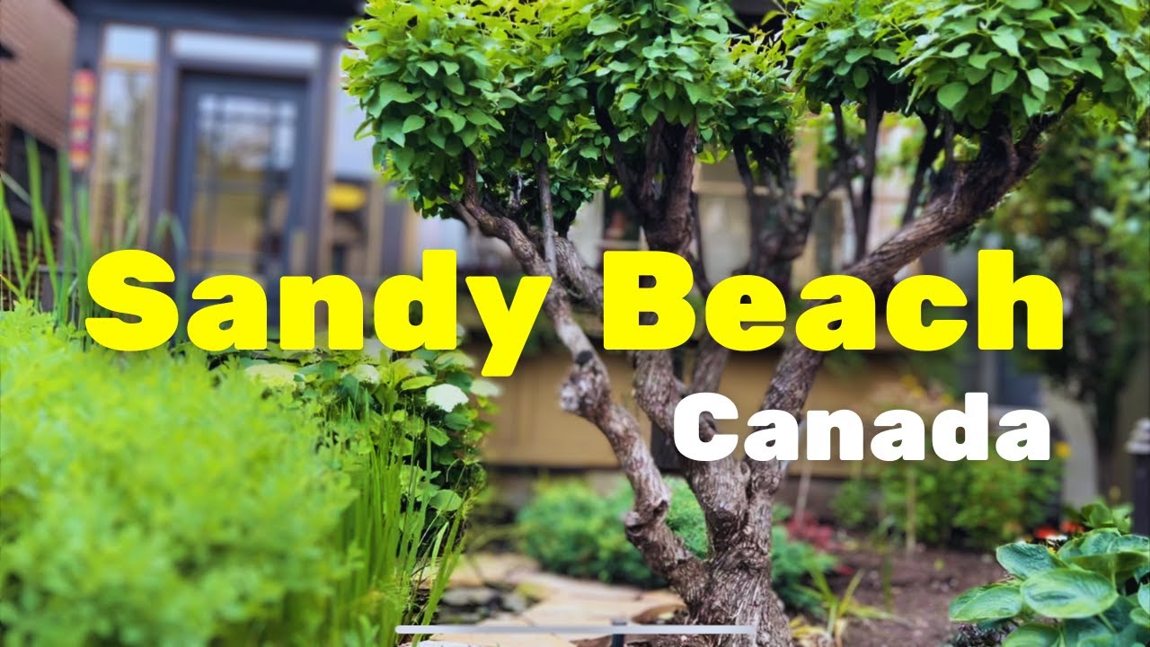 Walking Tour in Sandy Beach Park | Alberta, Calgary, Canada - YouTube