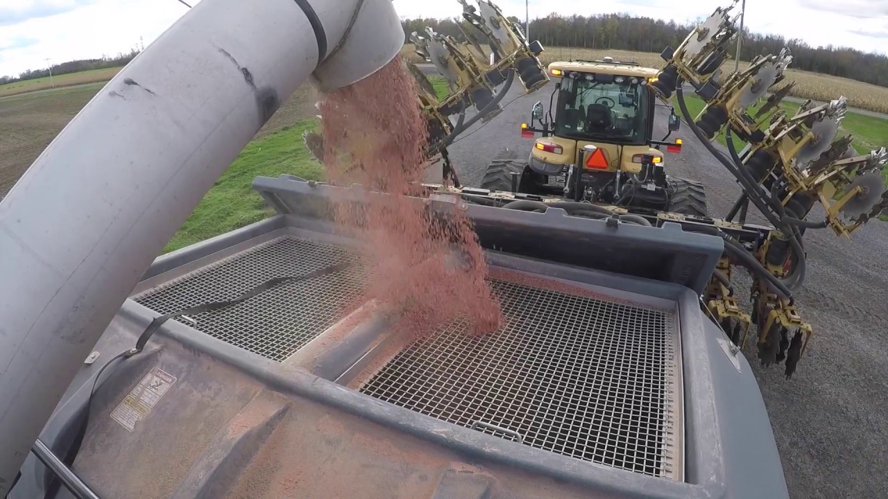 Soil Warrior - Fall Strip till with Challenger mt765D - YouTube